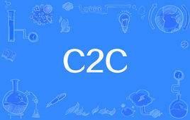 C2C是什么 - 出海派